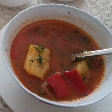 Shorpo (Soup) – Kyrgyz Children's Future